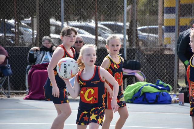 New funding for community netball courts | The Recorder