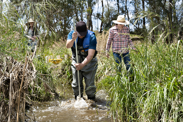 Citizen scientists ready to blitz waterbugs | The Recorder
