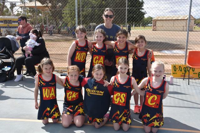 New funding for community netball courts | The Recorder