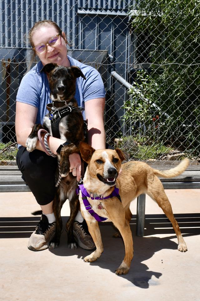 Every little bit helps | The Recorder